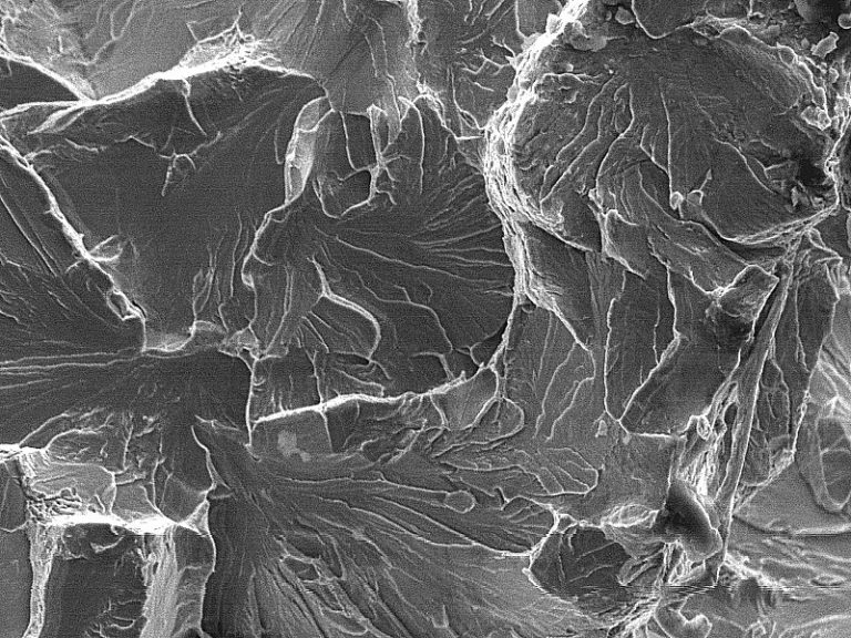 Scanning electron microscopy - RST LABS - Rail System Testing GmbH